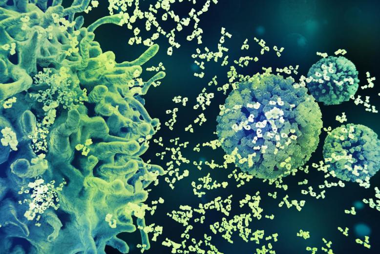 MSD Switzerland - Inventing for life | msd.ch