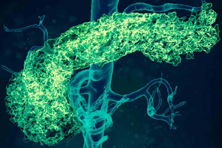 MSD Switzerland - Inventing for life | msd.ch