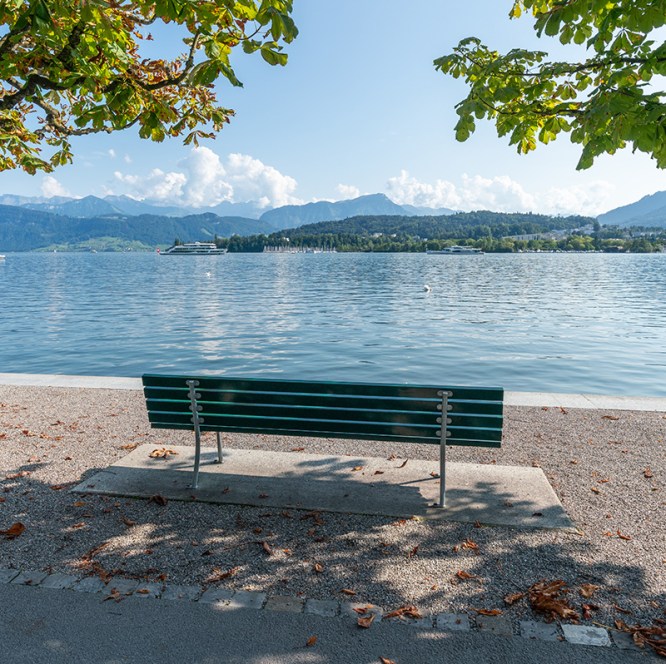 Local responsibility - MSD Switzerland | msd.ch