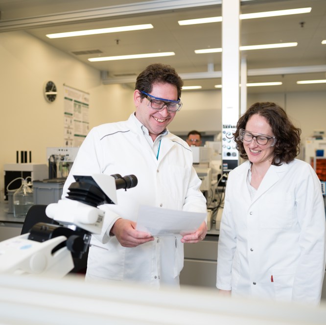 Apprentissages - MSD Suisse | msd.ch